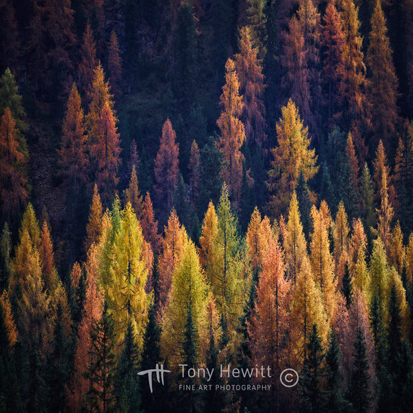 ITALY-022 – Tony Hewitt Fine Art Photography