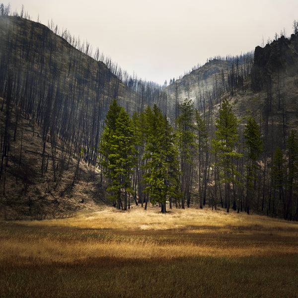 THE STAND – Tony Hewitt Fine Art Photography