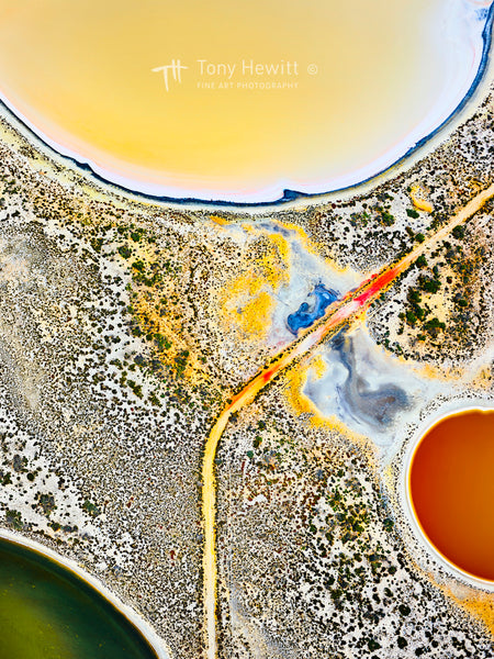 Transience EXHIBITION – Tony Hewitt Fine Art Photography