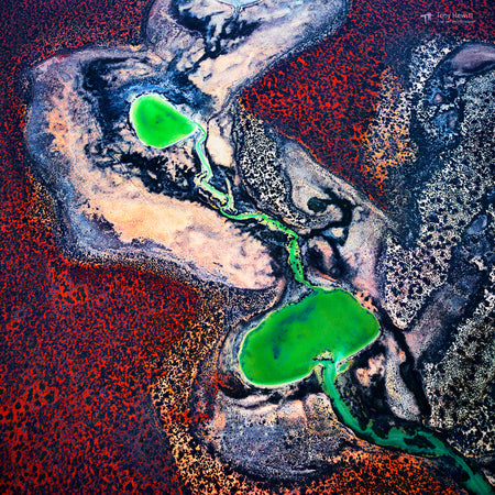 Shark Bay – Tony Hewitt Fine Art Photography