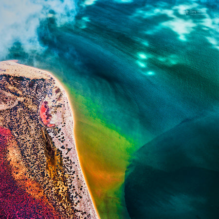 Shark Bay – Tony Hewitt Fine Art Photography