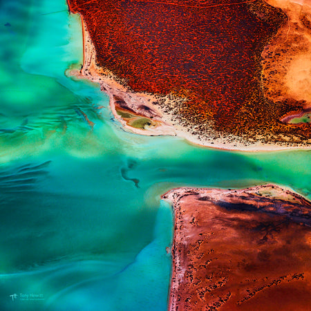 Shark Bay – Tony Hewitt Fine Art Photography