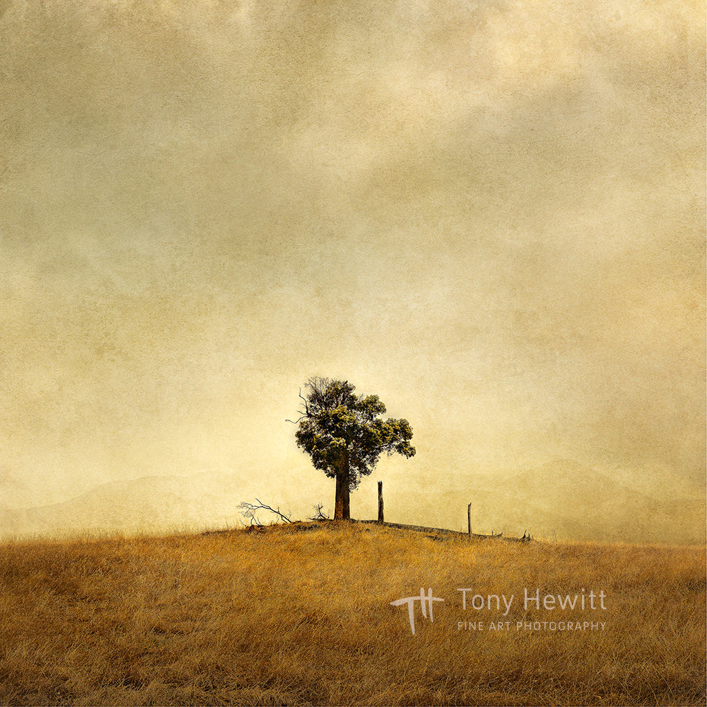 Tony Hewitt Fine Art Photography