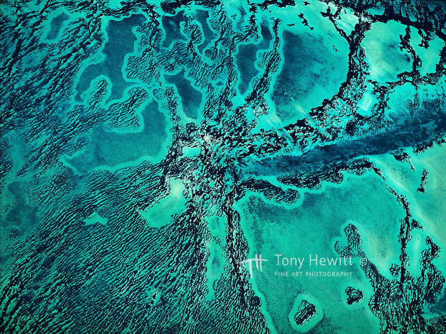 Transience EXHIBITION – Tony Hewitt Fine Art Photography