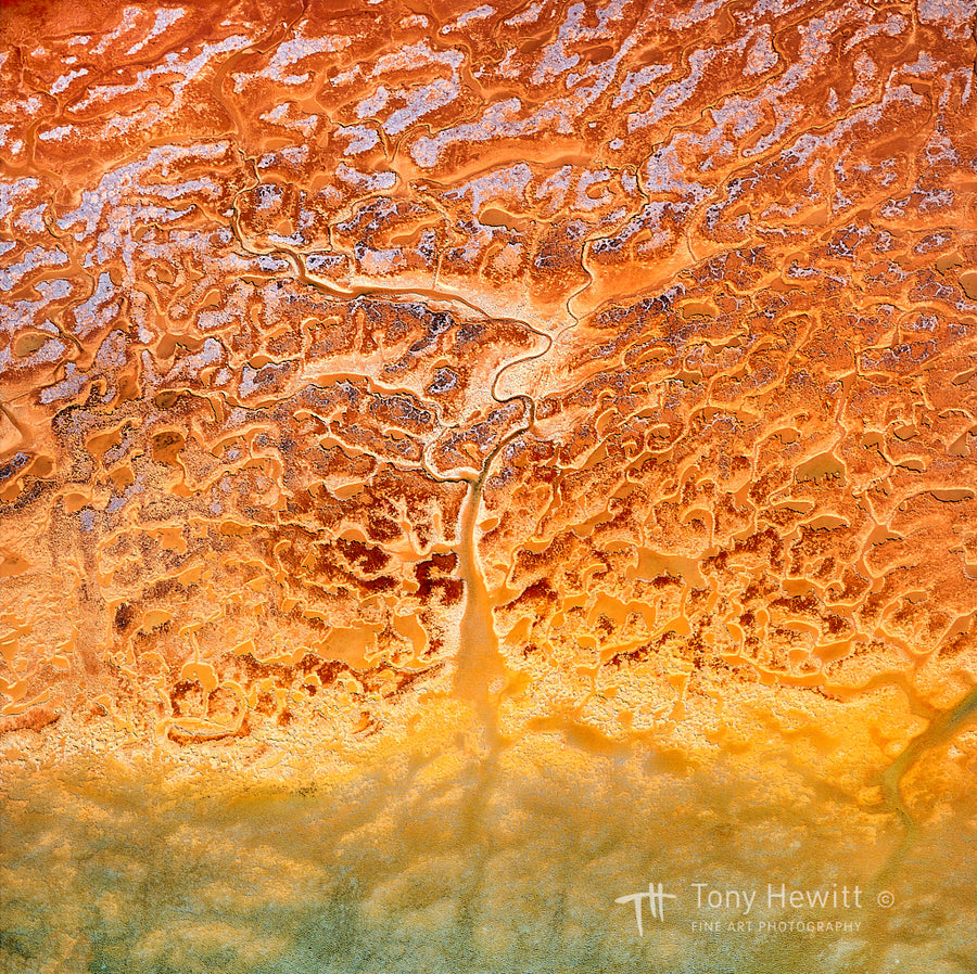 Transience EXHIBITION – Tony Hewitt Fine Art Photography