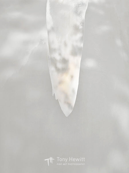 Limited Editions – Tony Hewitt Fine Art Photography