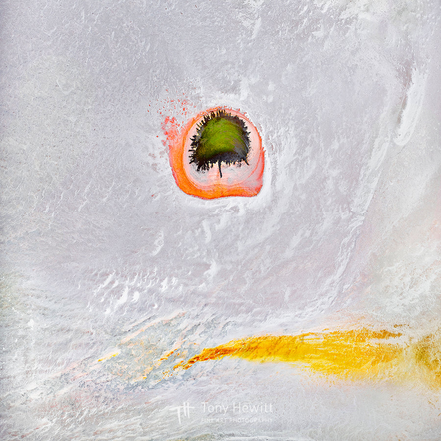 Tony Hewitt Fine Art Photography